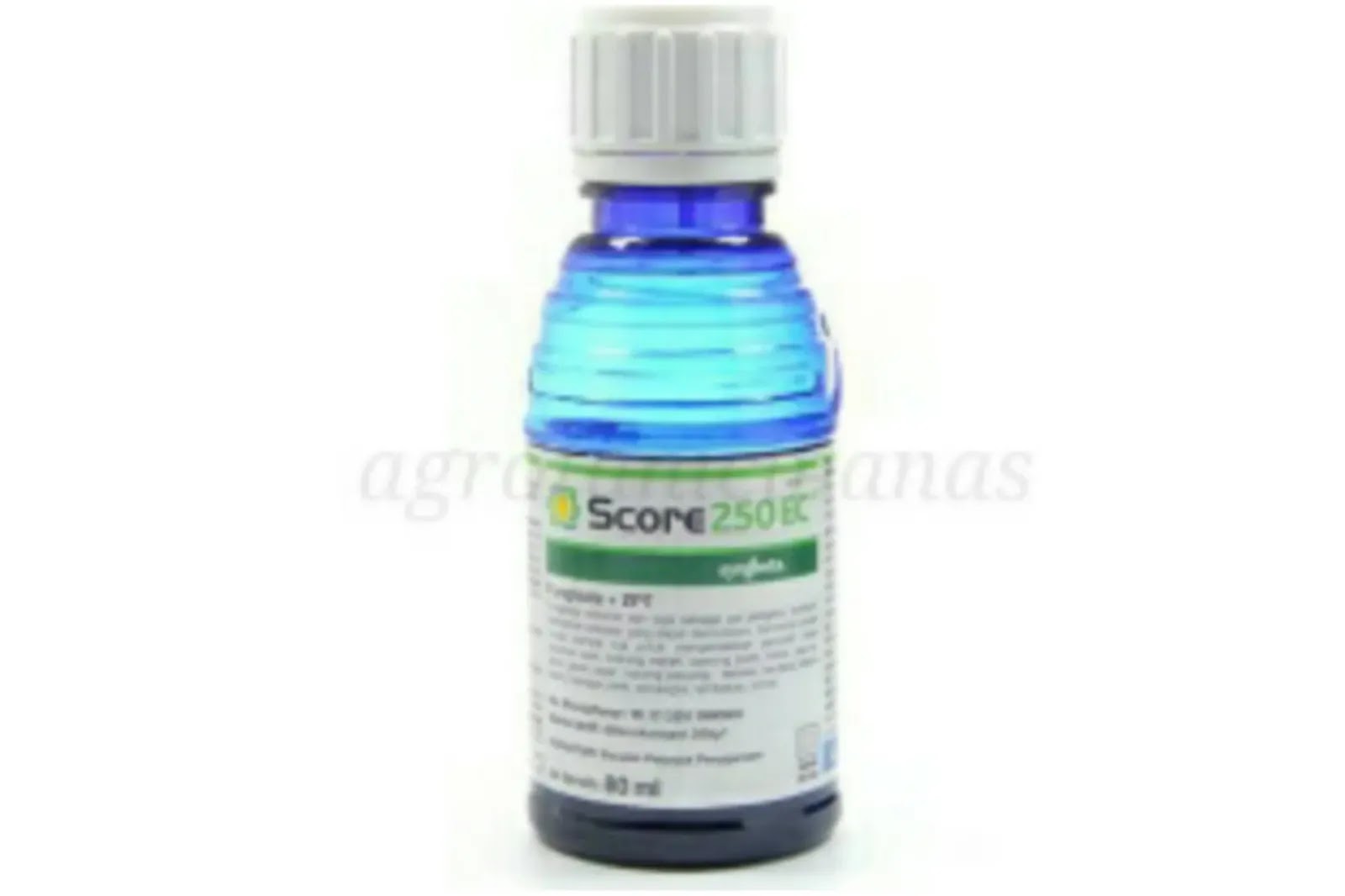 Keunggulan dan Kegunaan Fungisida Score 250 EC - Agrotani Cipanas