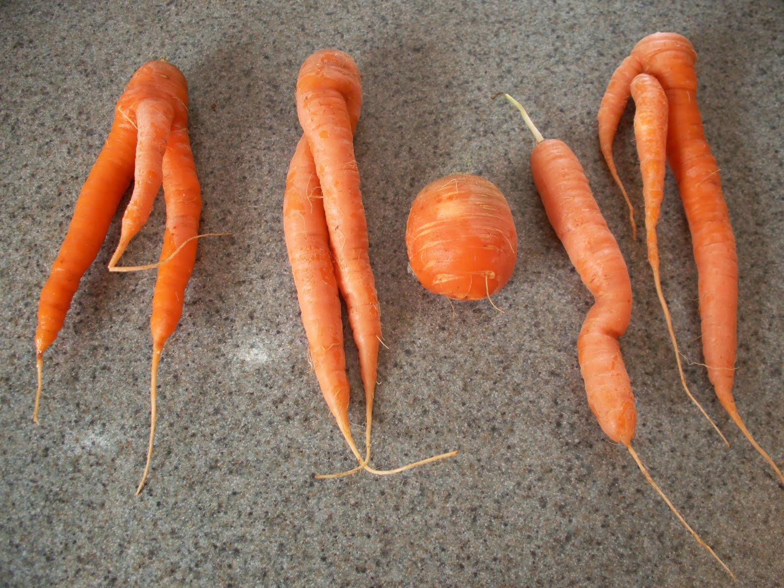 Home Grown Carrots - Adventures of a DIY Mom