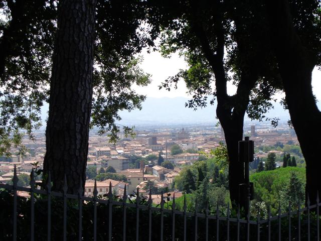 Anziano Dominic Orso: Anziano Orso Letter August 21, 2013