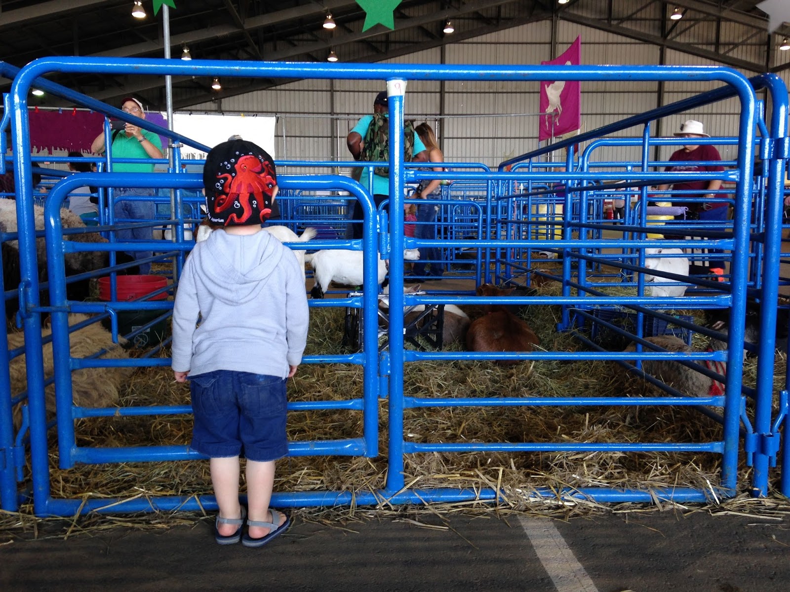 Life Alaskan Style: our Alaska State Fair 2014