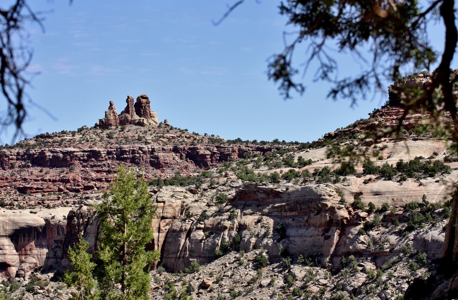 The Southwest Through Wide Brown Eyes: Shay Canyon - Rock Art Panels ...