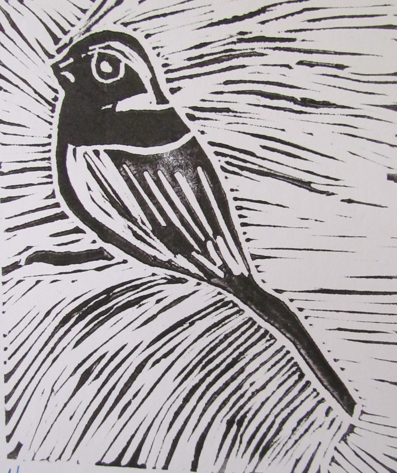 Jana Burianová: Linoryty lítací