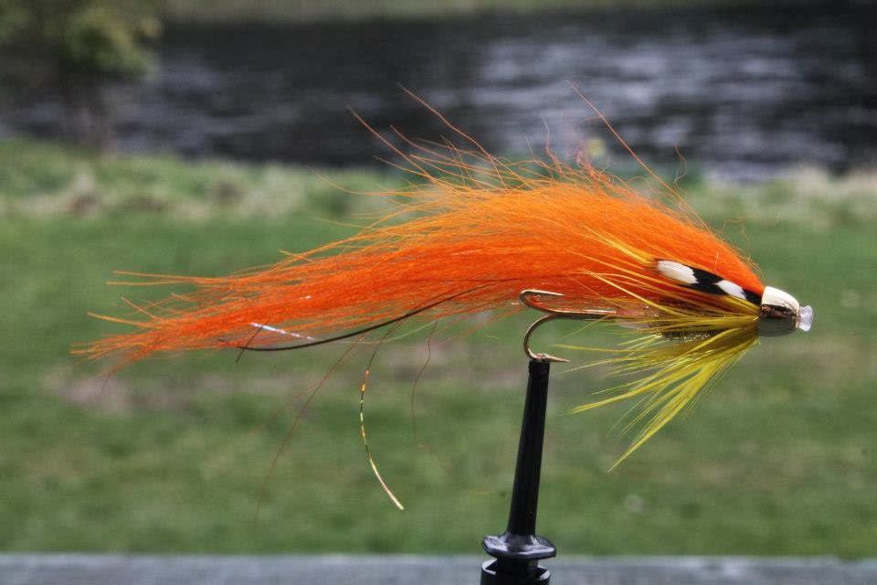 Salmon Fly: Tummel Monkey Conehead Salmon Fly