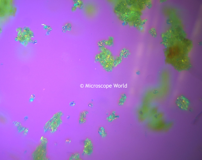 Microscope World Blog: September 2015