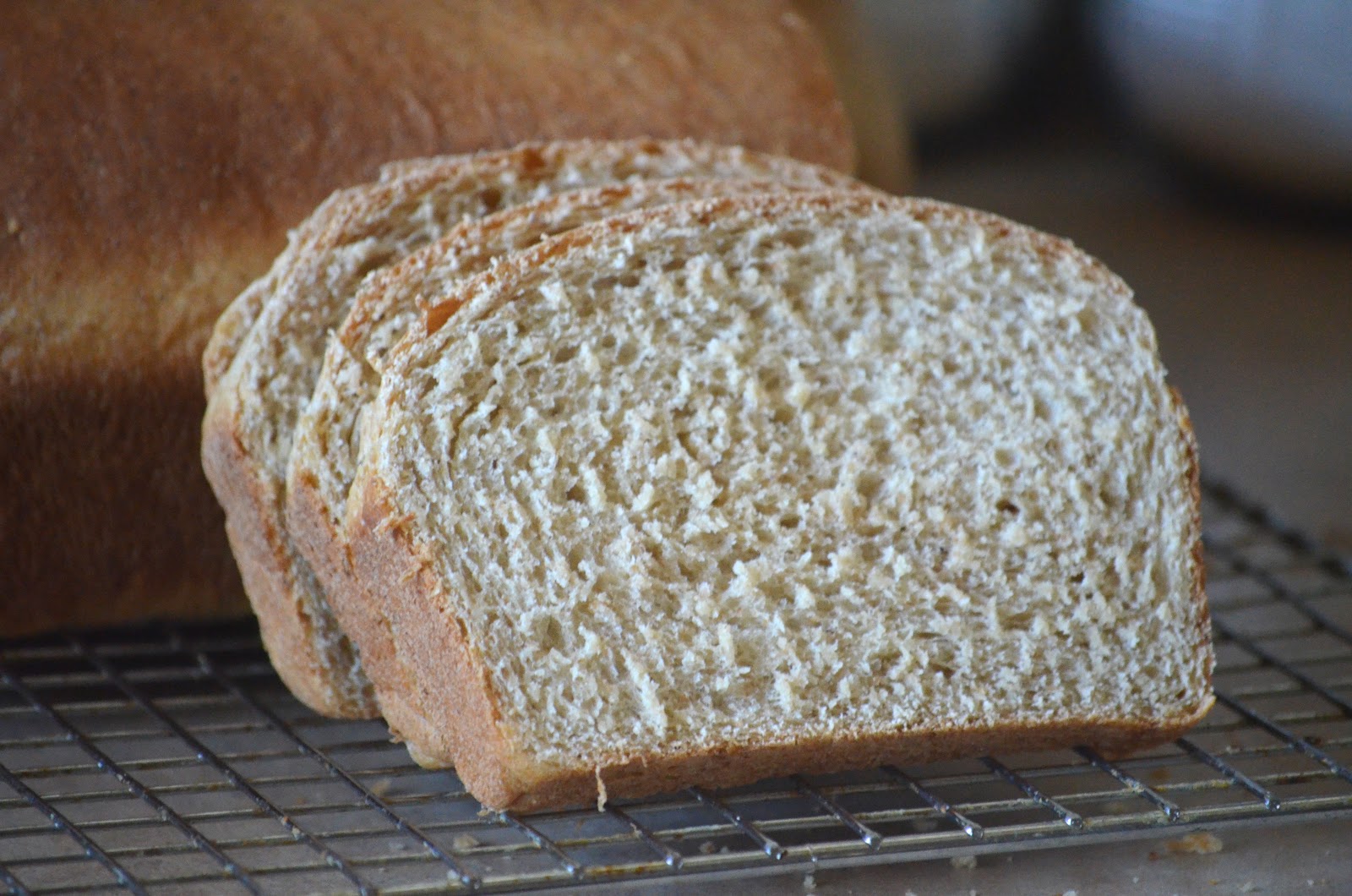 The Lazy Daisy Kitchen: whole-wheat bread