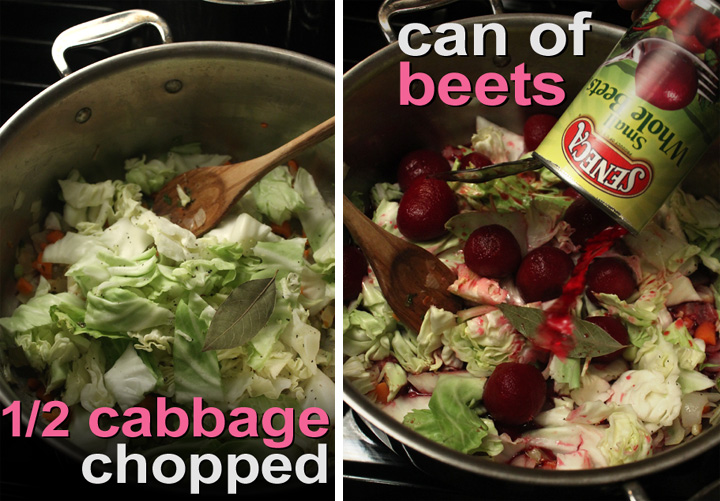 The 99 Cent Chef: Borscht - Beet and Cabbage Soup