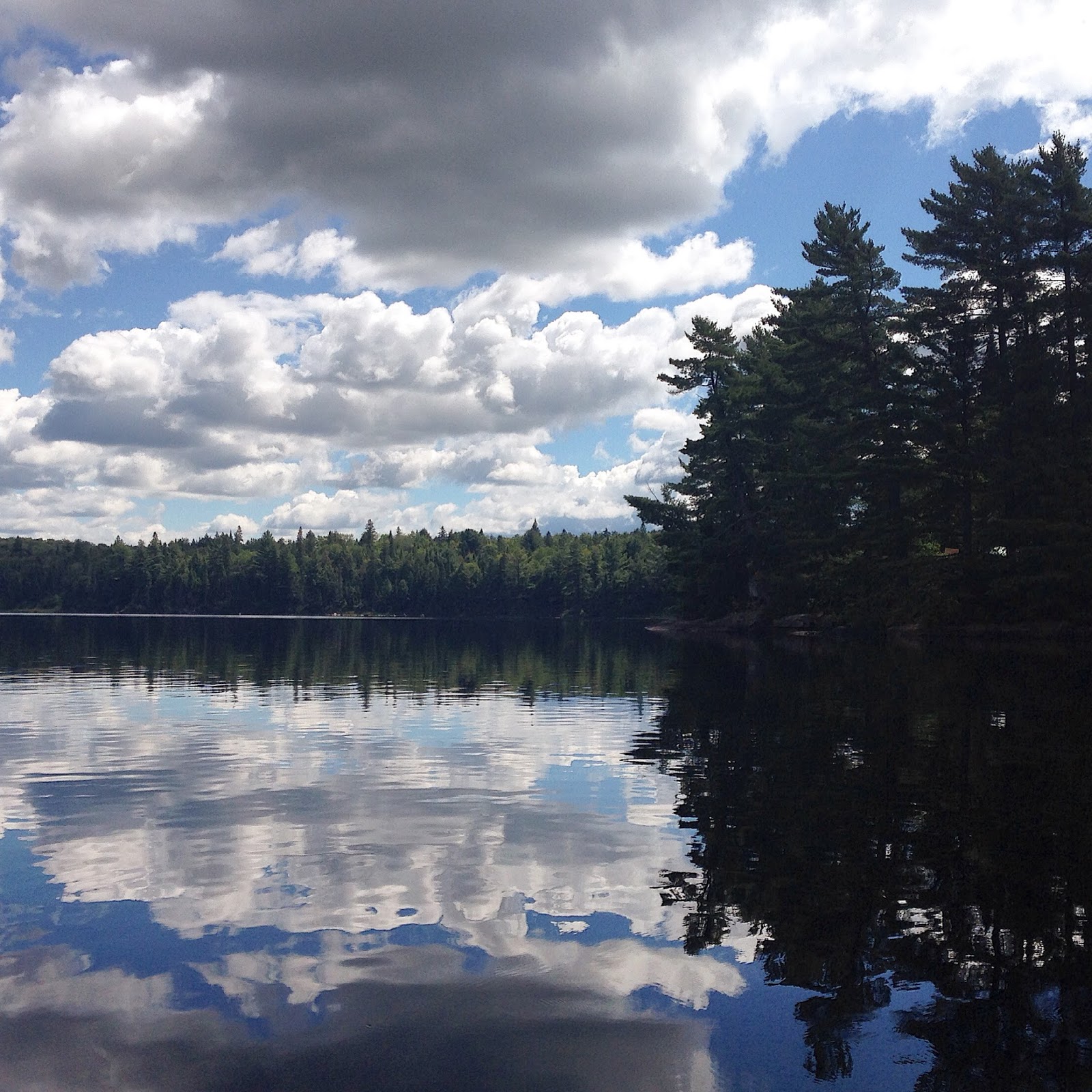 Dundas Valley Outdoors: Rain Lake Reflections - Algonquin Park
