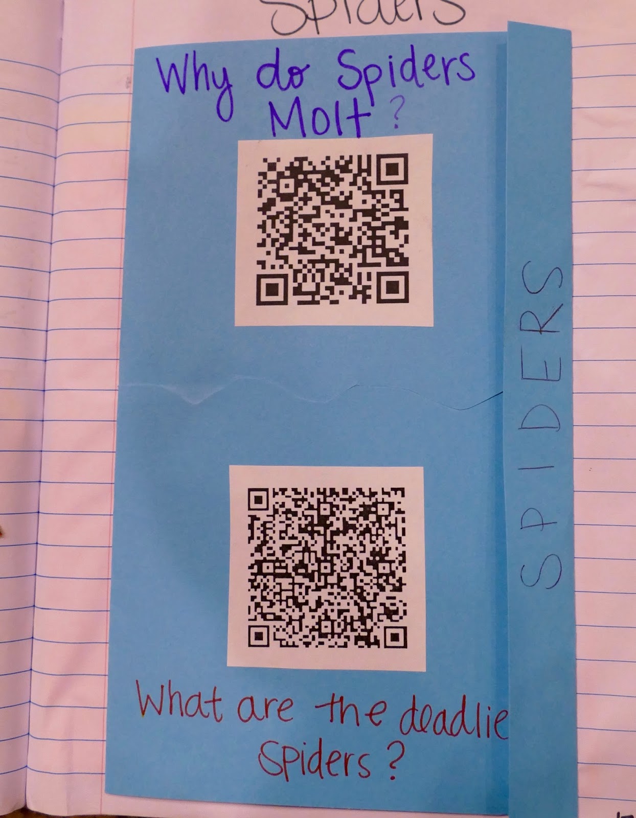 Interactive Notebooks for High School and College - Teaching Science ...