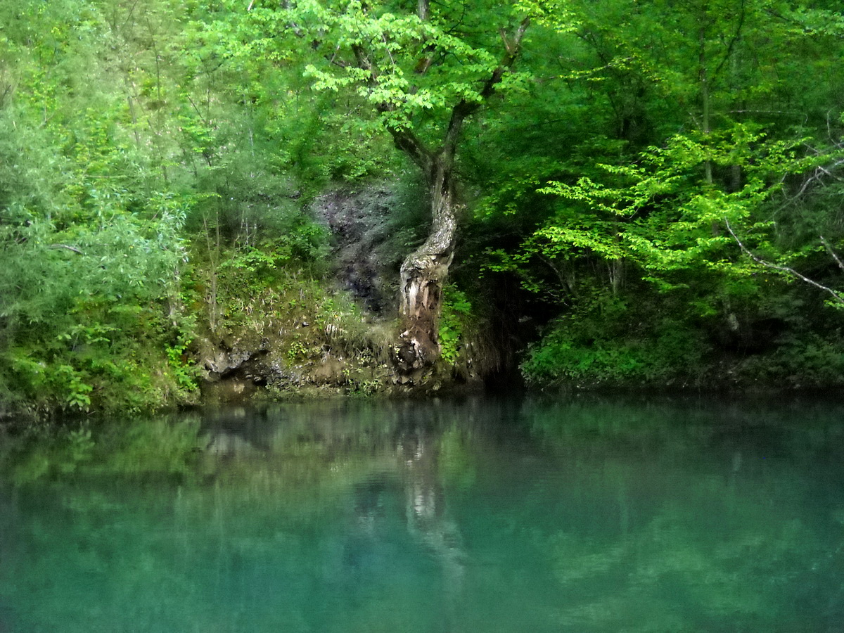 anta | Photography: март 2016