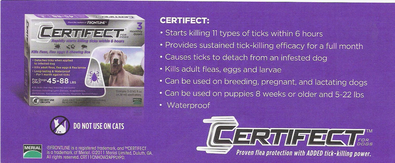 Grayhart Weimaraners: Certifect: Cover Girl Jam