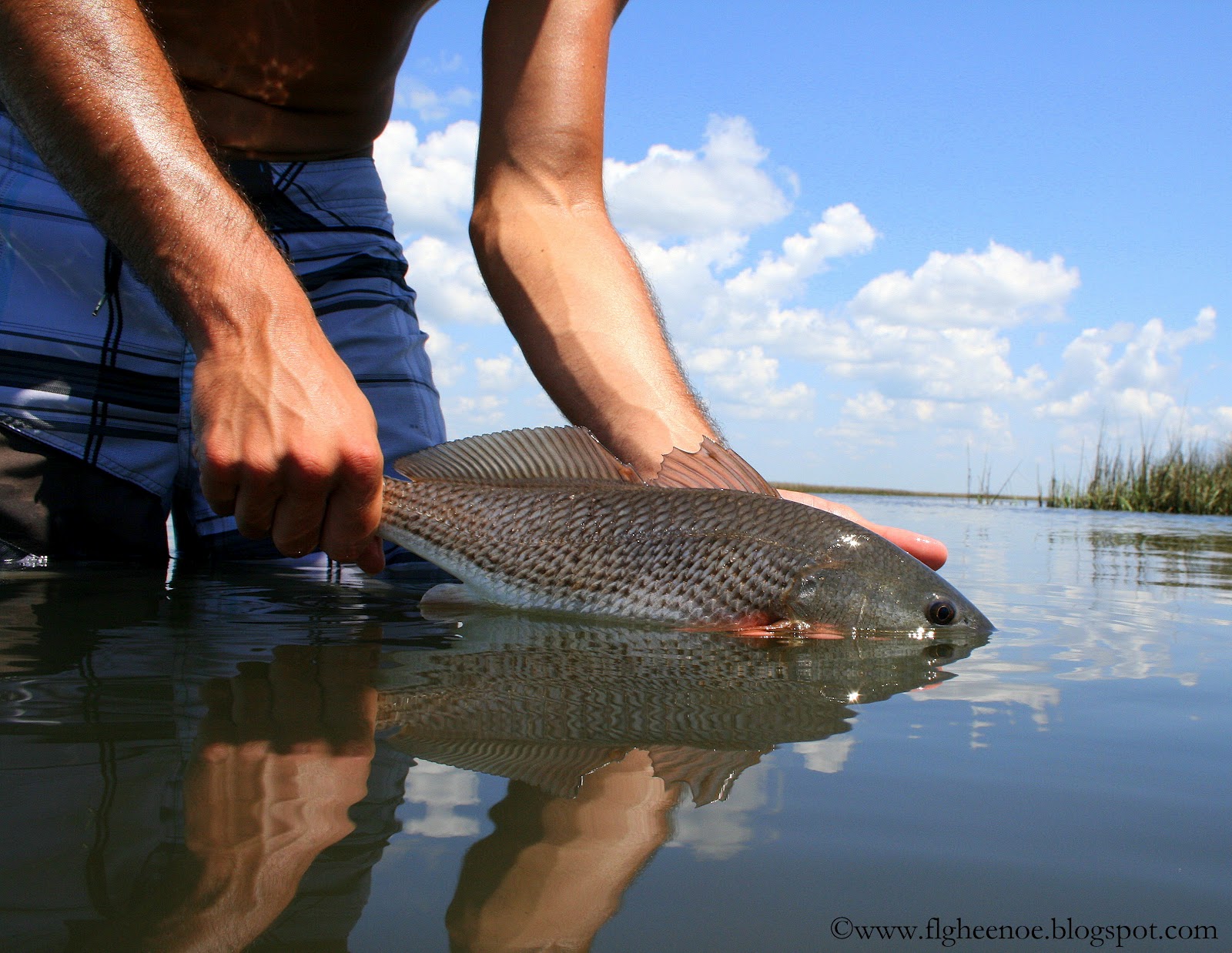 Florida Gheenoe Fishing: April Fools in the Bayou