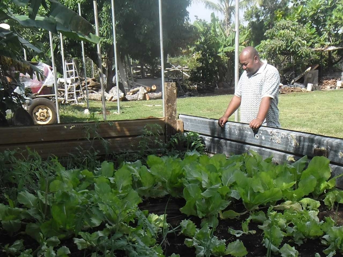 Thomsons In Tonga: Liahona Farm