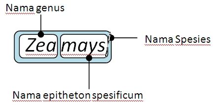 Bagaimana Cara Memberi Nama Ilmiah Makhluk Hidup (Sistem Binomial ...