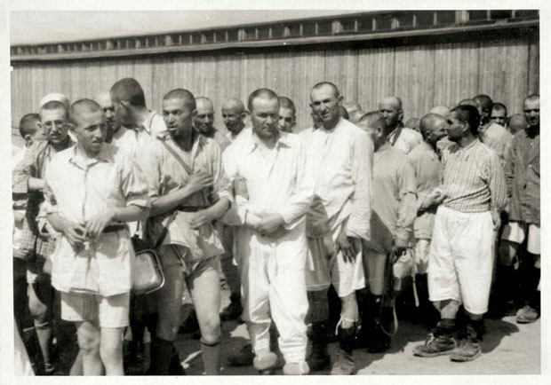 El Álbum de Lili Jacob, fotografías de Auschwitz ~ El Blog del Dolape