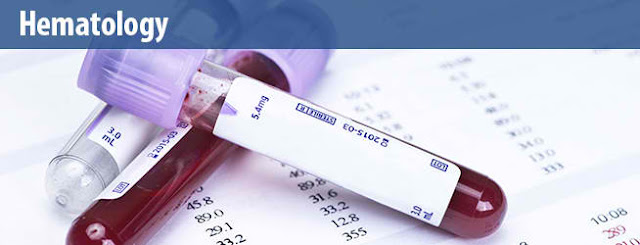 Cindy's Lab Life: Newbies in Hema department..what to do?