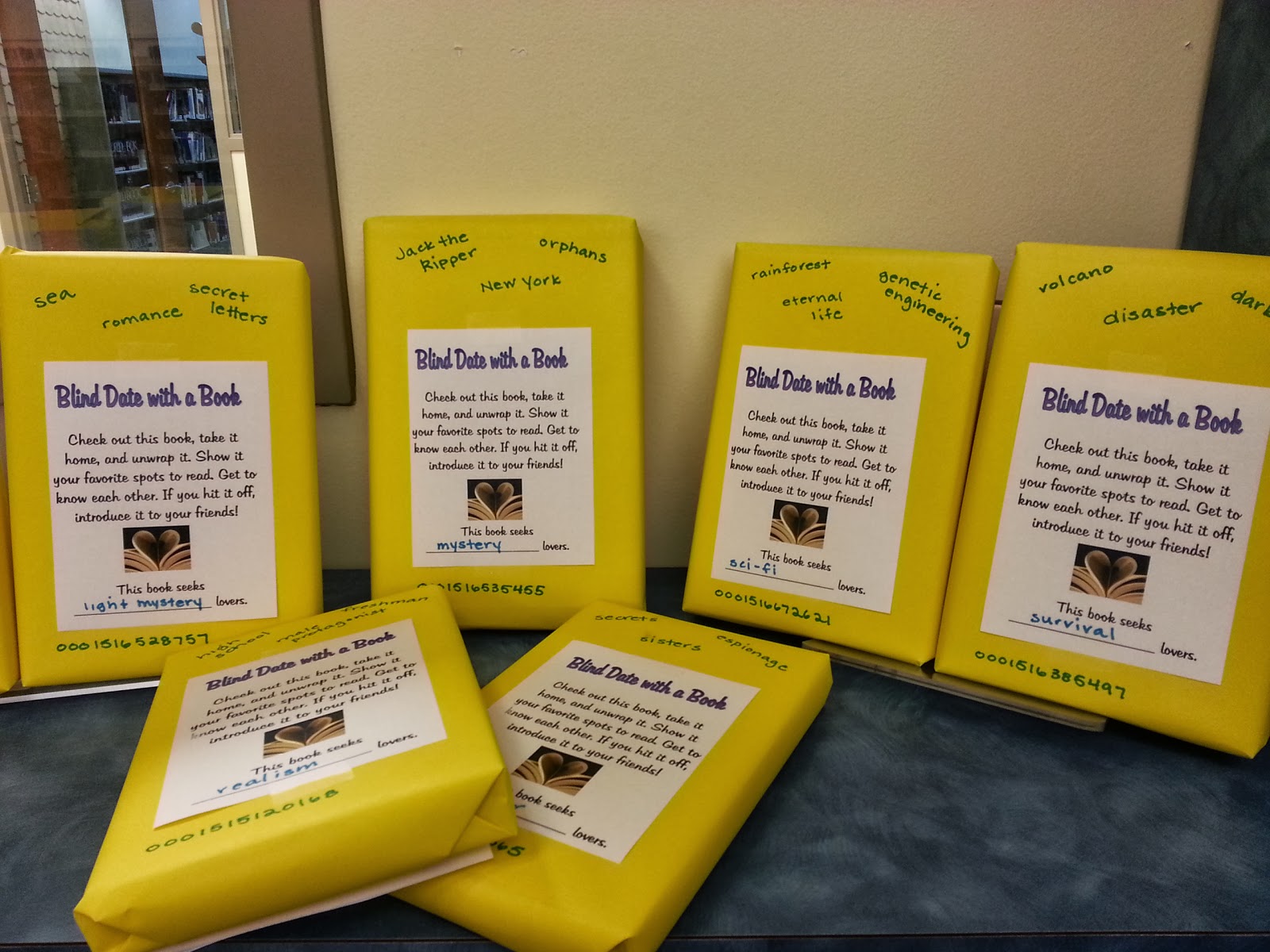 Literary Commentary: Have A Blind Date With A Book!