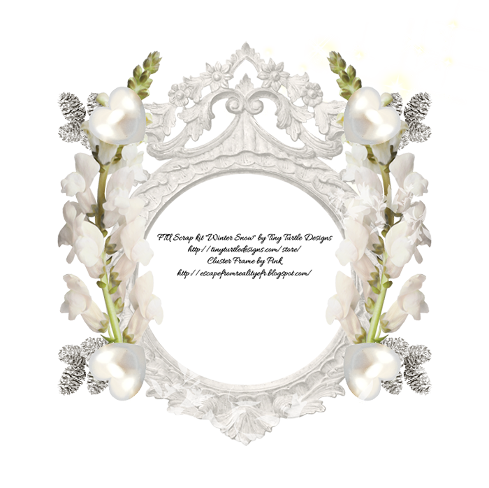 Escape From Reality Blog: FTU "Winter Snow" Clusters & Cluster Frames