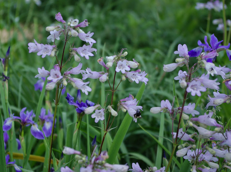 sweetbay: February 2013