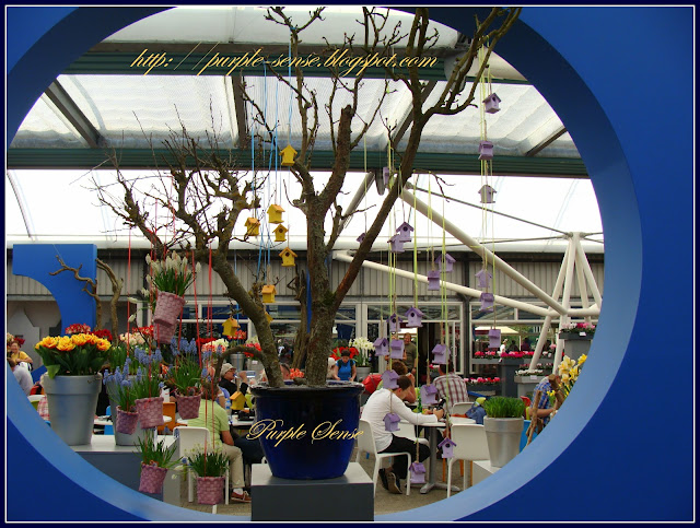 Purple Sense: Цветна феерия