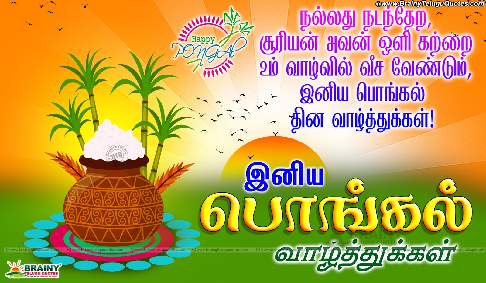 Tamil Ponkal Festival Greetings Pongal Tamil Greetings With Hd