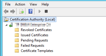 Directory Admin: Viewing CRL in Windows Certification Authority console