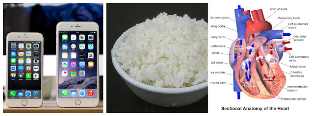 Versus what?! It's crazy!: iPhone vs Rice vs Heart