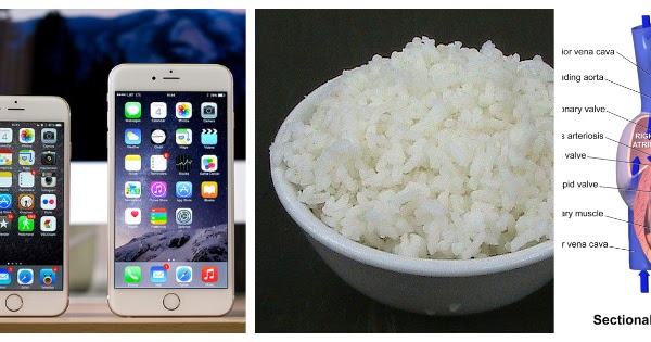 Versus what?! It's crazy!: iPhone vs Rice vs Heart