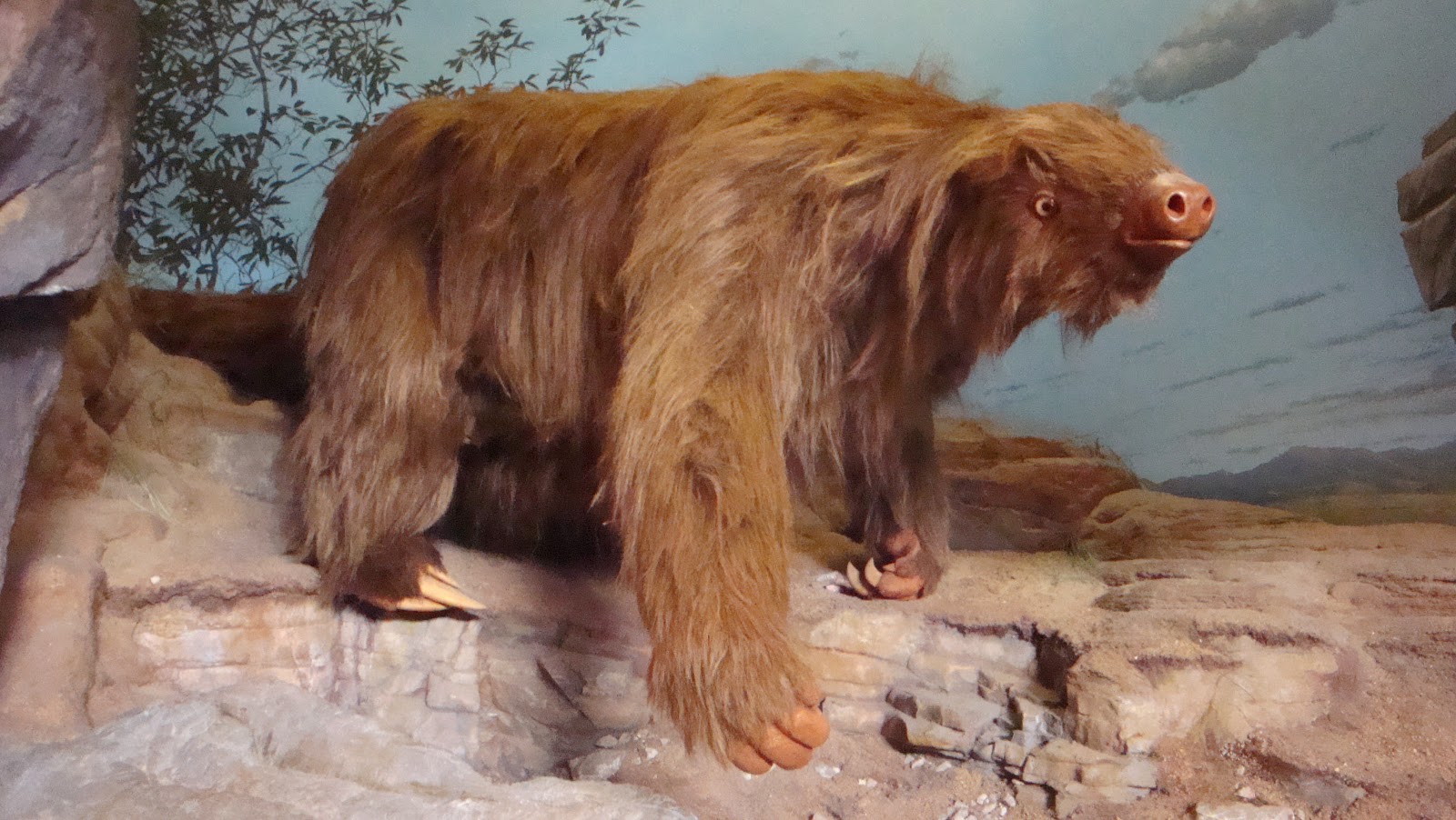 PATI AND LEROY'S TRAVELS: 2014