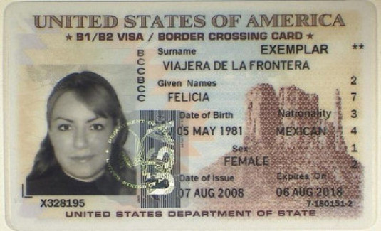 Mi Bitácora Diaria: El trámite en-línea de la visa láser