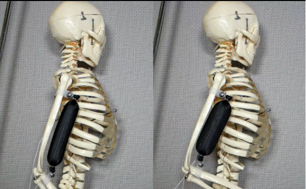 Ciència a l'escola Montserrat de Rubí: Músculs "quasi humans" per a robots