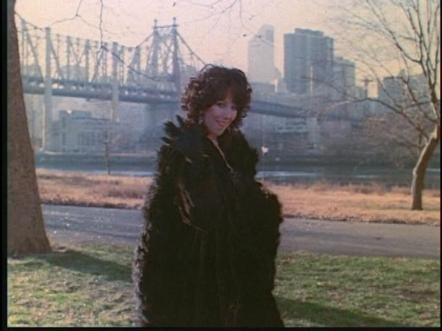 Harry Moseby Confidential Superstars Of The Seventies Annie Sprinkle