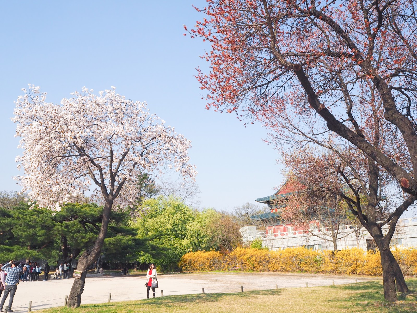 HANBOK EXPERIENCE IN KOREA | TRAZY.COM - CARMEN LAYRYNN | MALAYSIA ...