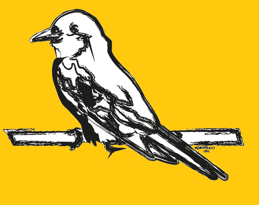 Natalia Raffucci: PITIRRE