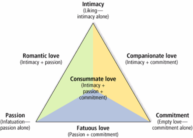 If Love Was A Disease: Different Combinations of Love