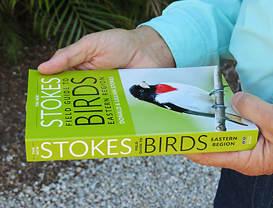 STOKES BIRDING BLOG: January 2013