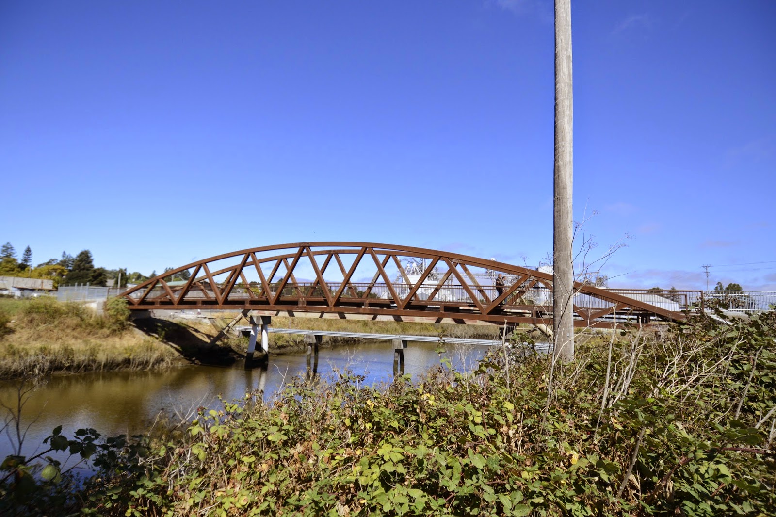 Bridge of the Week: Sonoma County, California Bridges: Copeland ...