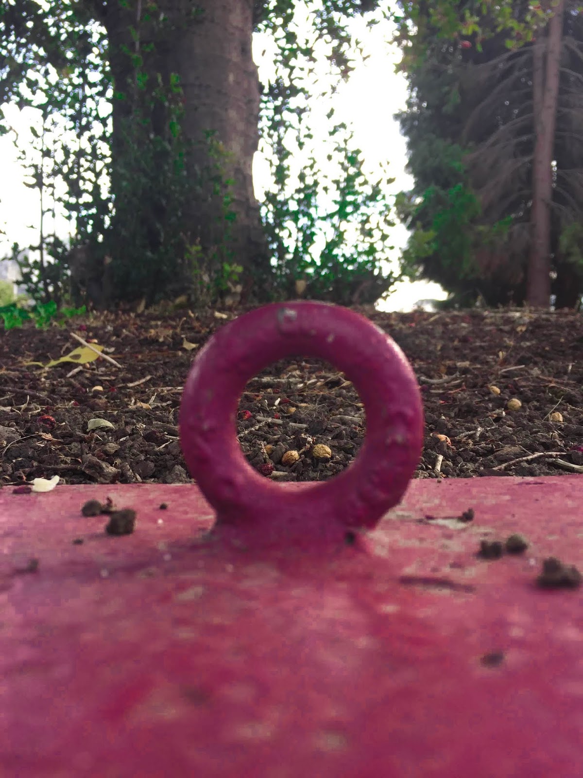 Owen Asch Photography: Best Examples of Framing & Compositional Techniques