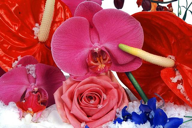 William Grob Journal: Showing my work to EVERYONE! 28th jan