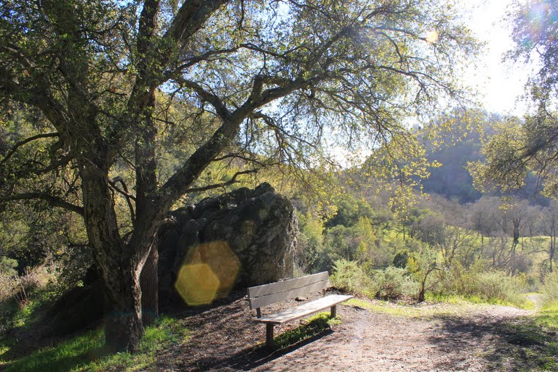 Eye On The View: Sunol Regional Wilderness - Camp Ohlone Road