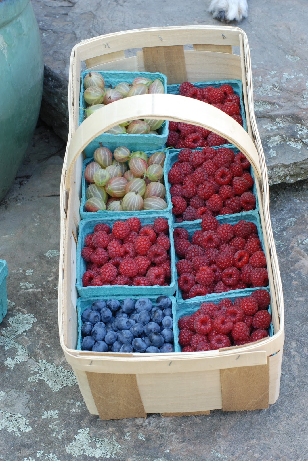 Annie's Gardening Corner: July 2012