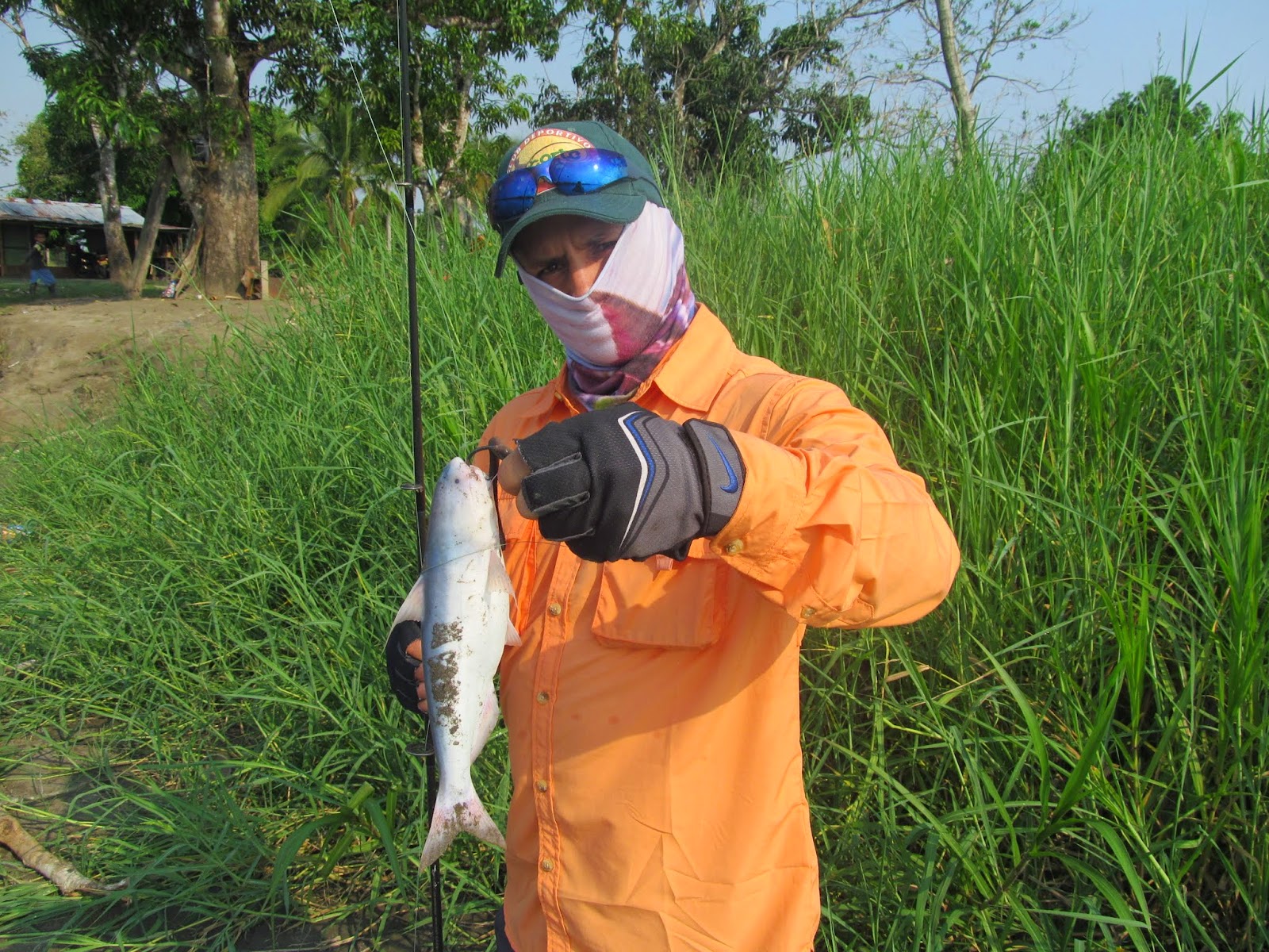 Espacio de Pesca: Pesca de Raya de Rio, Piraña y Pez Ciego en Caño del ...