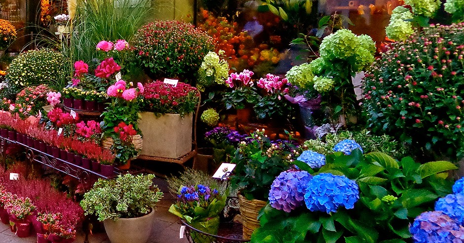 Flower Shop in Mayur Vihar | On-Time Delivery | New Happy Flower