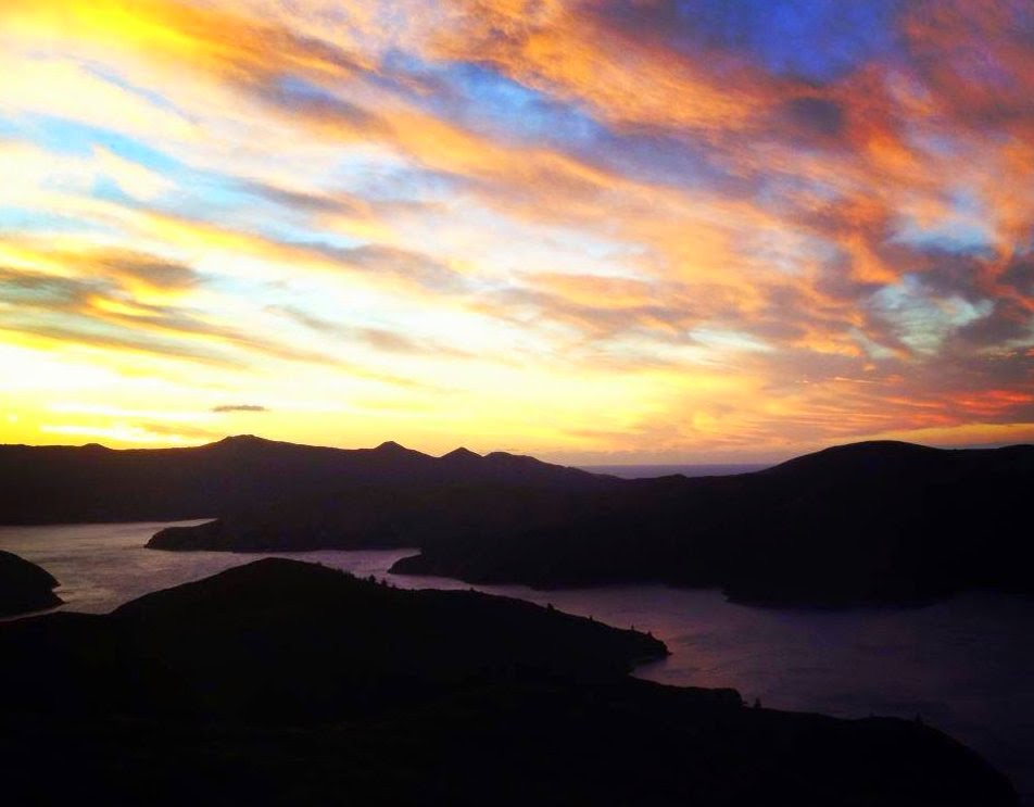 The Flying Tortoise: Remember Brando Yelavich Aka Alexander Supertramp ...