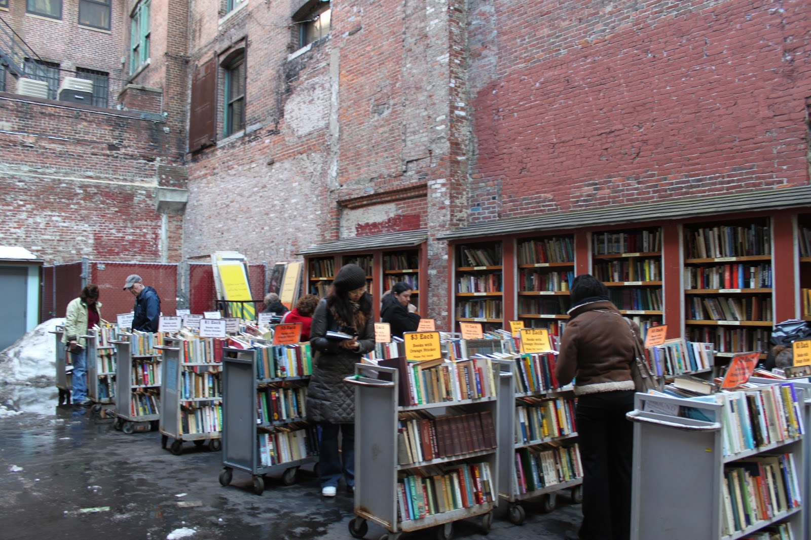 A Lady in Boston : Brattle Book Shop