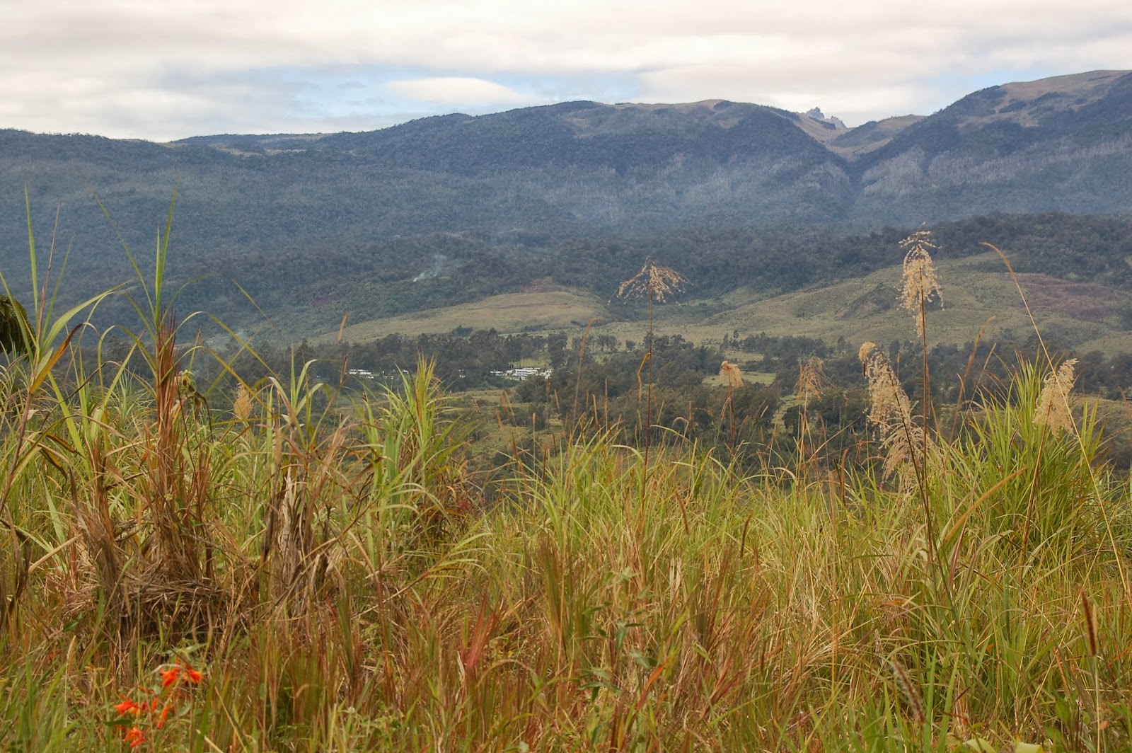 Niugini Exotic Travel Blog: Climbing Mt. Giluwe - 7th Volcano Summits