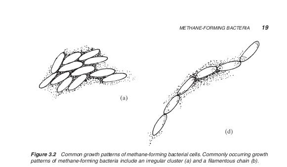 Energy Blog: Methane forming Bacteria