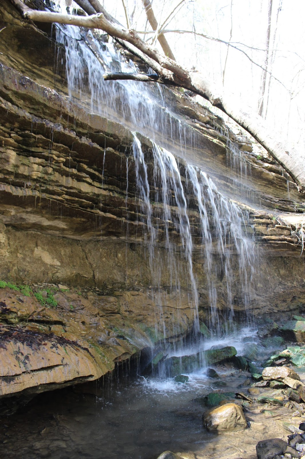 Cumberland Gal: Belle Ridge Retreat --Verble Hollow Falls & Spring ...