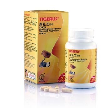 Tiger Milk Mushroom: Penubuhan Ligno Biotech Sdn. Bhd.