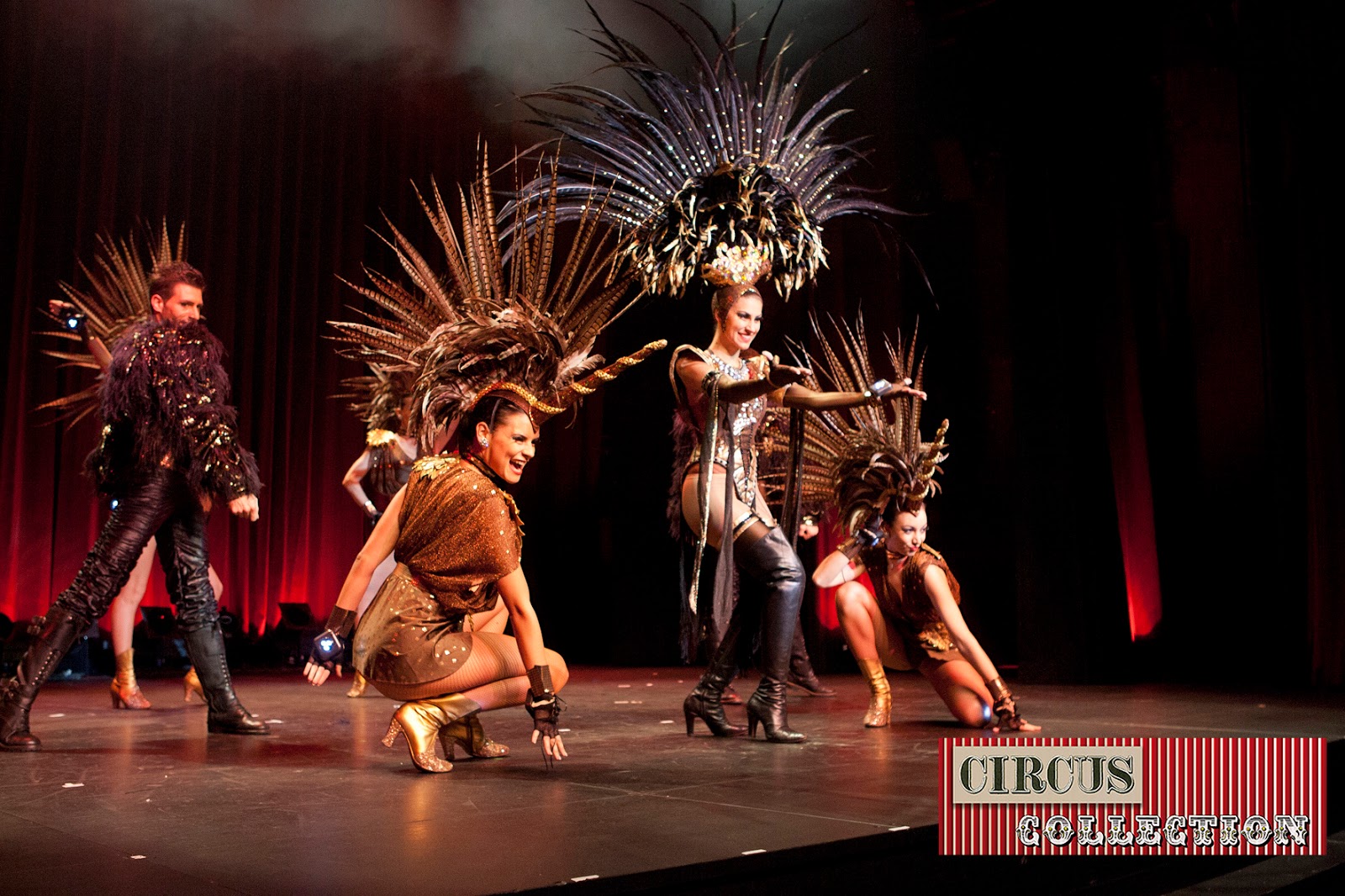 Circus -Collection: Place au spectacle 2016