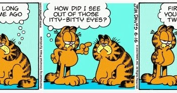 Garfield Plus Garfield